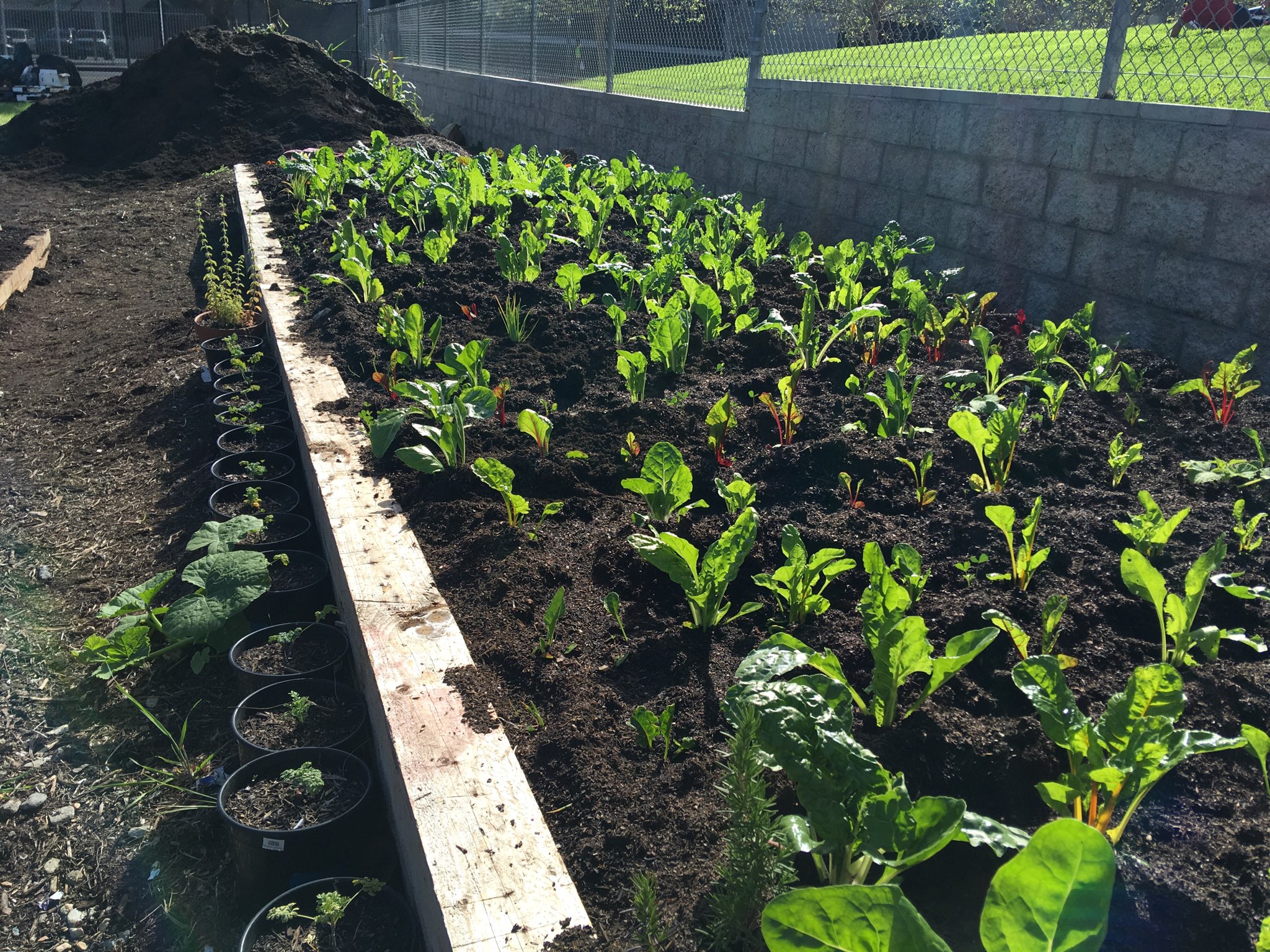 Cultiva Los Angeles - Home